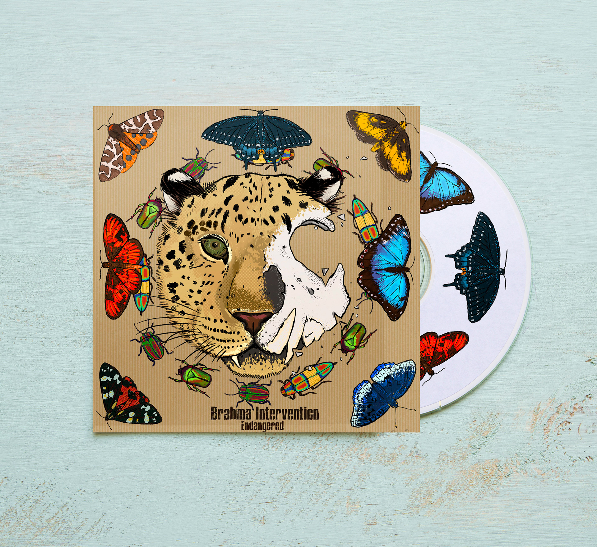 lily faye illustration - Endangered Album cover art