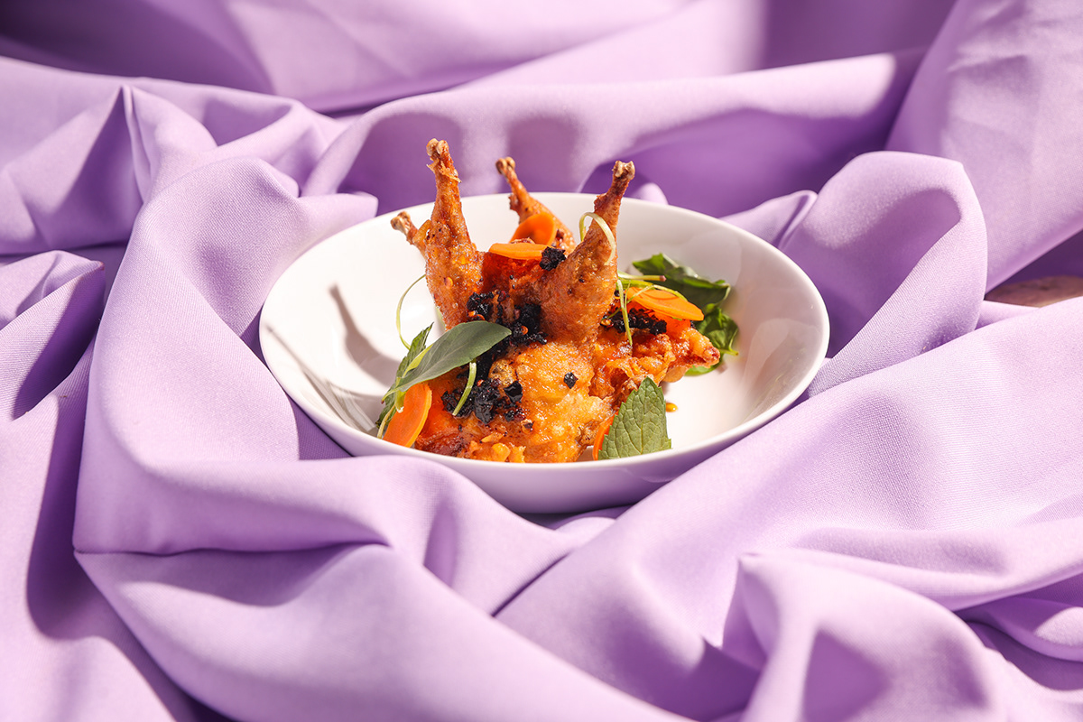 Joseph Duarte - Cento ( Rebrand) | Los Angeles